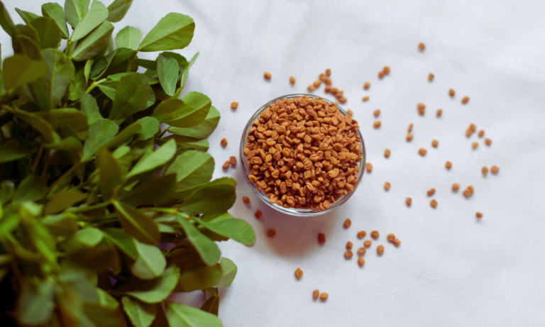 How to Grow Methi Plant at Home: A Complete Guide
